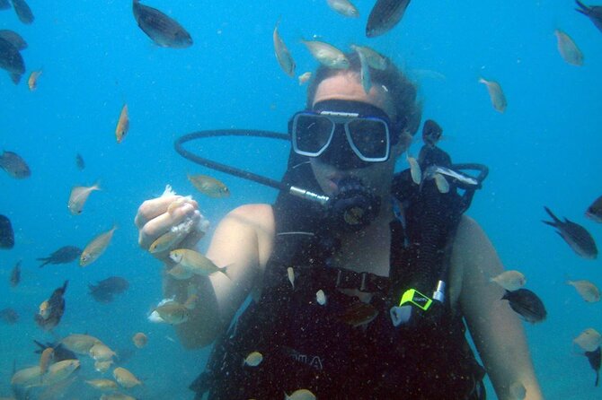 Fethiye Scuba Diving Experience By A Local Expert - Who Should Consider This Tour?
