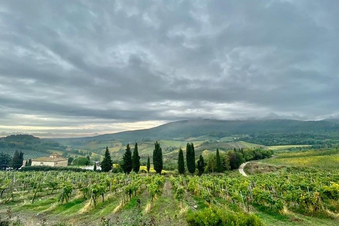 Florence Highlights from Livorno Port - The Value of This Tour