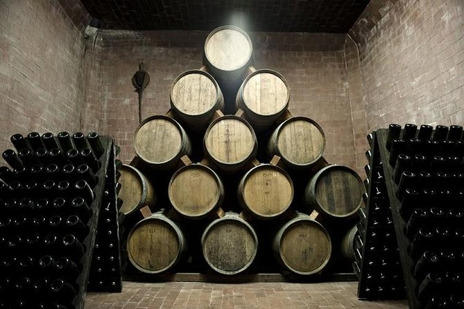 Food Tour: Parmigiano, Balsamic, Red Wine, lunch,transport - Who Will Love This Tour?