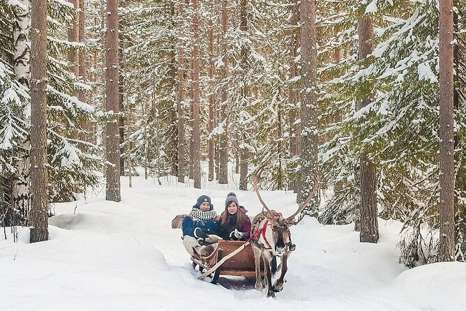 Forest Trail Reindeer Safari - Reviews and Feedback: Authentic Perspectives
