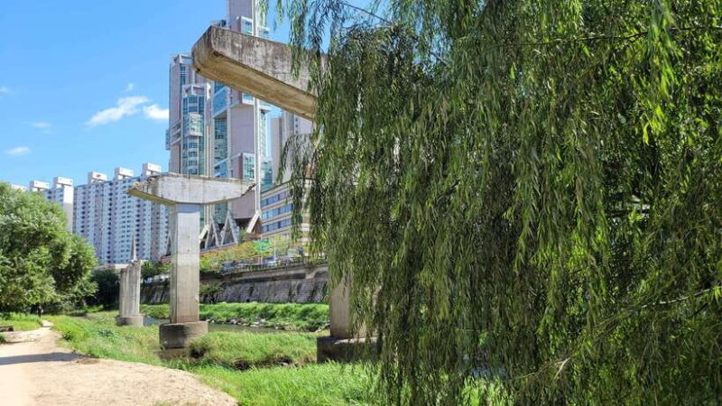 Free day in private Seoul with English-speaking guide - FAQs