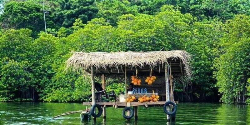 From Bentota: 5-Day Tour with Kandy and Nuwara Eliya - The Sum Up: Who Will Love This Tour?