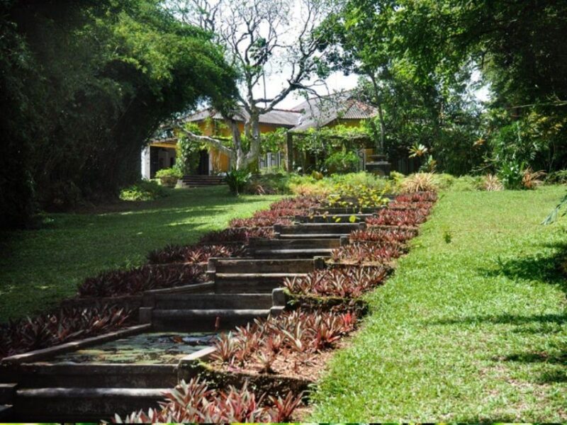 From Bentota/Beruwala: Lunuganga & Brief Garden Marvels Tour - What’s Not Included and Additional Considerations