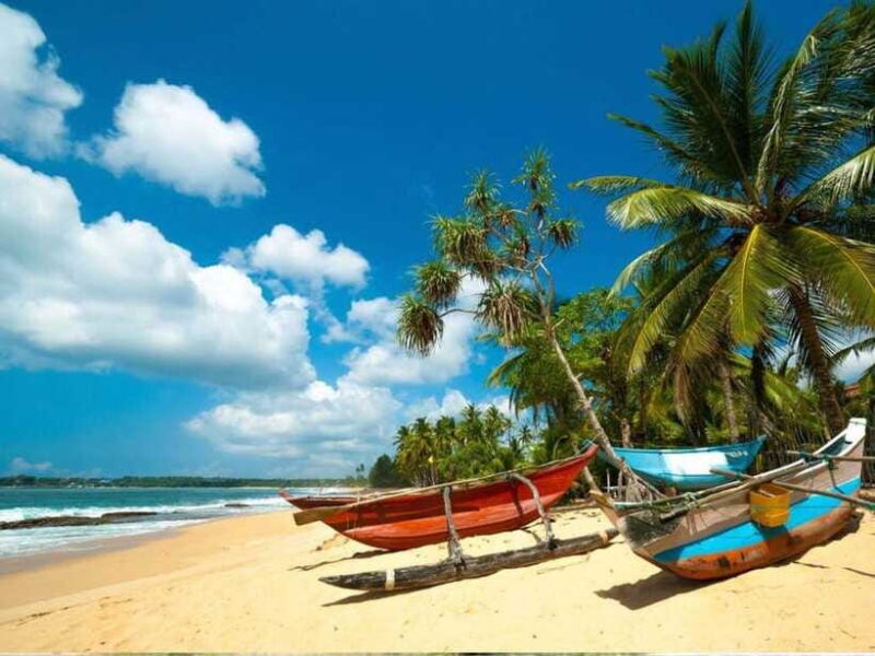 From Bentota/ Beruwala: Scenic Countryside Cycling Adventure - FAQ