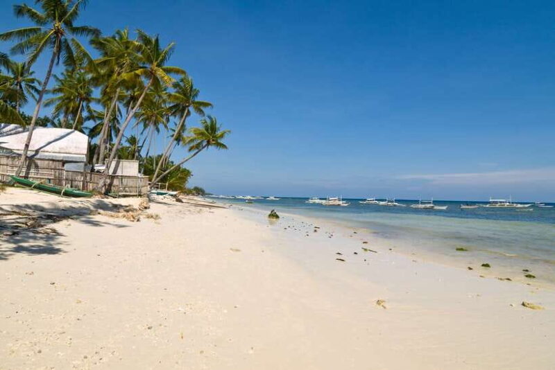 From Cebu: Day Trip to Bohol Highlights - Final Thoughts: Is It Worth It?