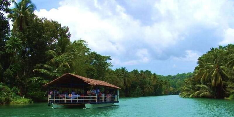 From Cebu: Full-Day Bohol Excursion - Practical Tips for Travelers
