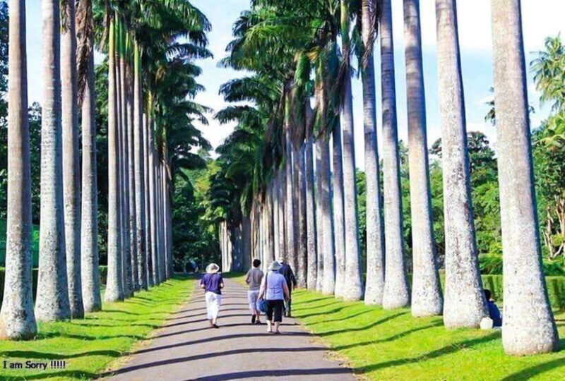 From Colombo: 2-Day Tour to Nuwara Eliya and Kandy - Who Will Love This Tour?