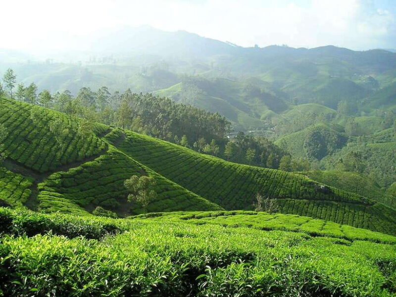 From Colombo: 4-Day Tour with Car, Guide, Meals HB, Hotels - FAQ