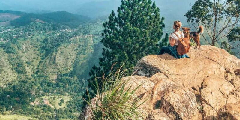 From Ella - All Inclusive Unforgettable Day Trip Tour - Who Should Consider This Tour?