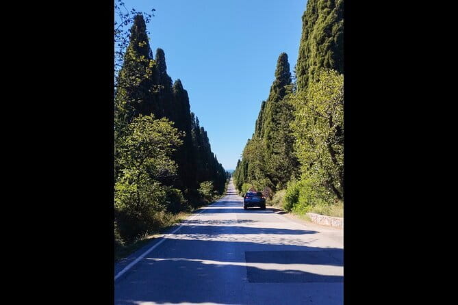 From Florence PRIVATE:Bolgheri Wine Tour,tasting among the Tuscany coastal hills - Cost & Value Analysis