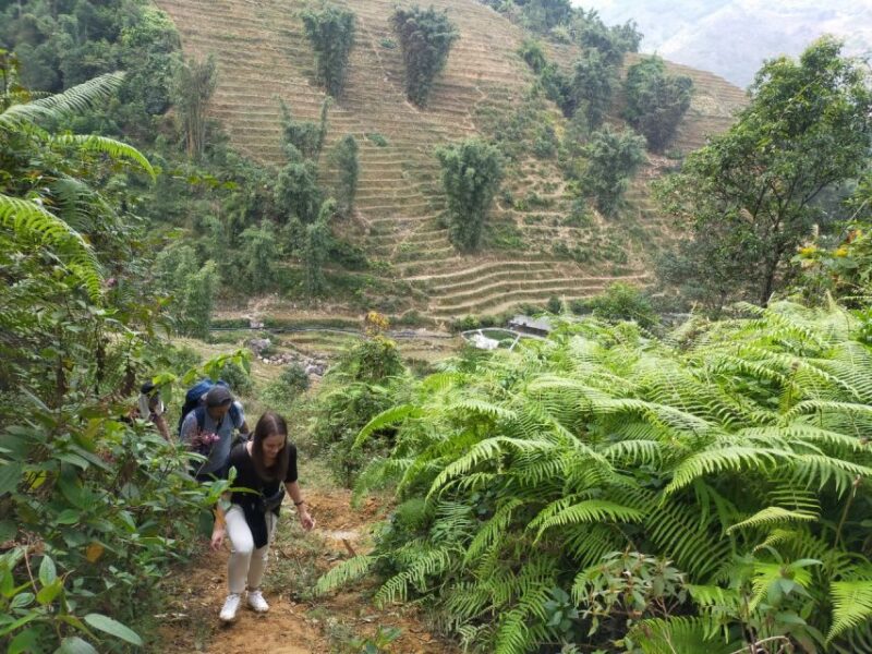 From Hanoi: Guided 2-Day Tour of Sa Pa with Lunch & Dinner - Authenticity and Cultural Insights