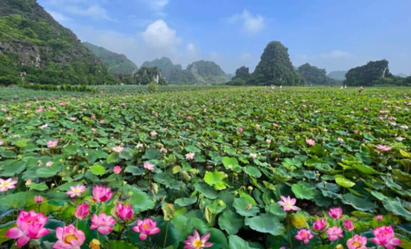 From Hanoi: Ninh Binh Full-Day Hoa Lu, Trang An, & Mua Cave - The Experience: What Travelers Say