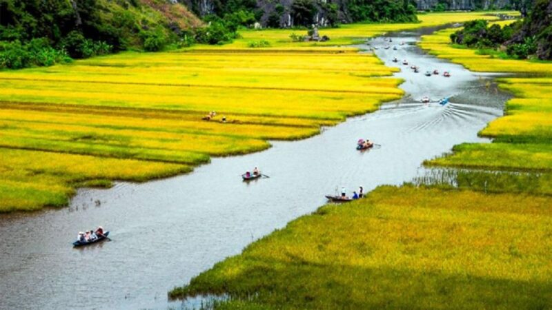 From Hanoi: Tam Coc-Hoa Lu & Mua Caves Full-Day Trip - Authenticity and Value