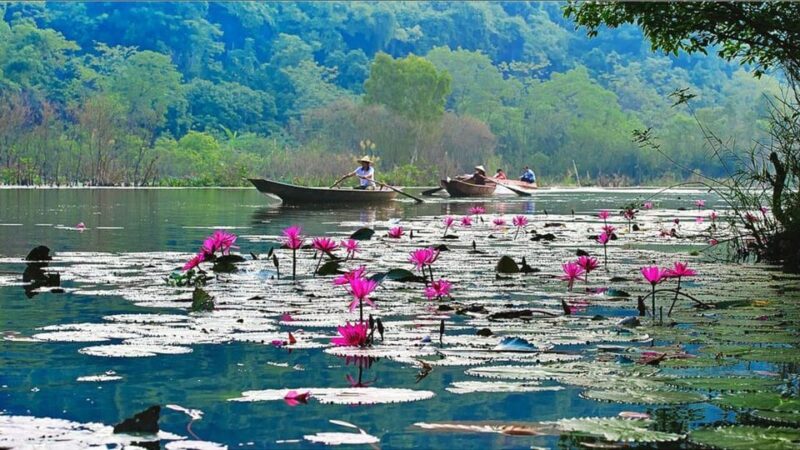 From Hanoi Visit Perfume Pagoda With A Group Or Private Tour - Conclusions: Who Will Benefit Most?