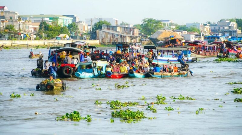 From HCM City: Mekong Delta Dong Thap Sa Dec 1 Day Tour - The Sum Up
