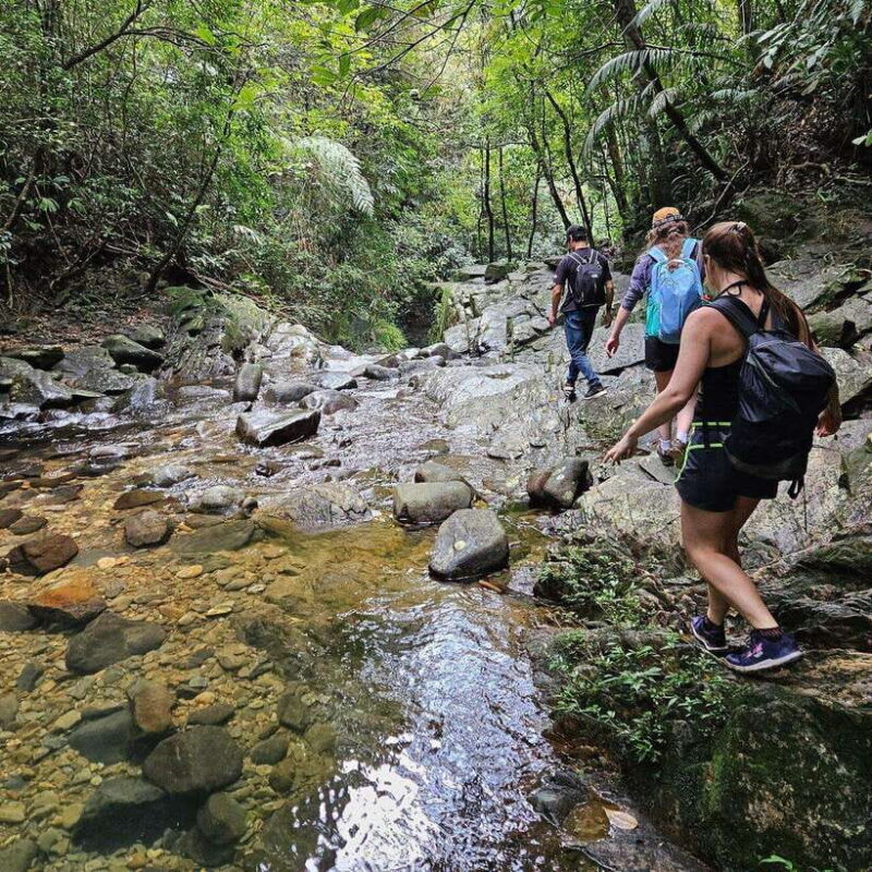 From Hue : Bach Ma National Park Luxury Trekking Tour - The Value Proposition