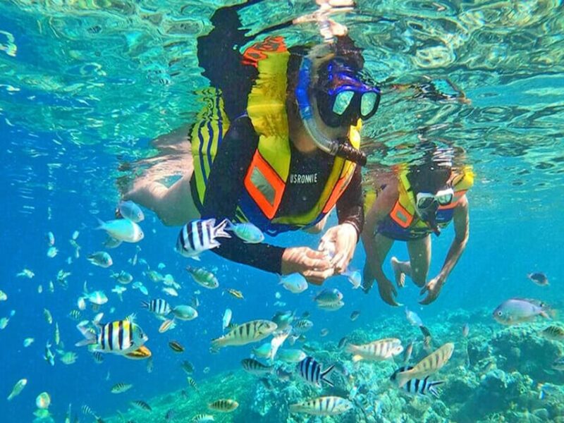 From Jakarta : Private Tour 5 Days 4 Night Jakarta Explore - Authentic Experience and Practical Tips