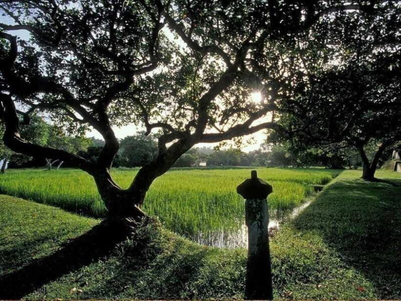 From Kalutara/Waskaduwa: Lunuganga & Brief Garden Tour - Who Should Consider This Tour?