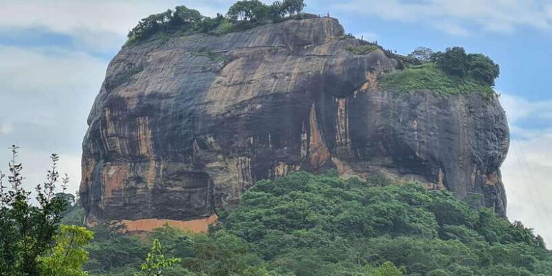From Kandy: Sigiriya dambulla and Minneriya Safari Day Trip - The Wildlife Safari: Minneriya or Nearby Parks