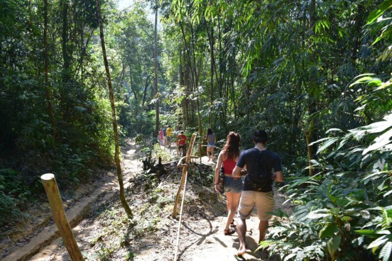 From Krabi: Cheow Lan Lake Cruise and Khao Sok Jungle Hike - Analyzing the Value