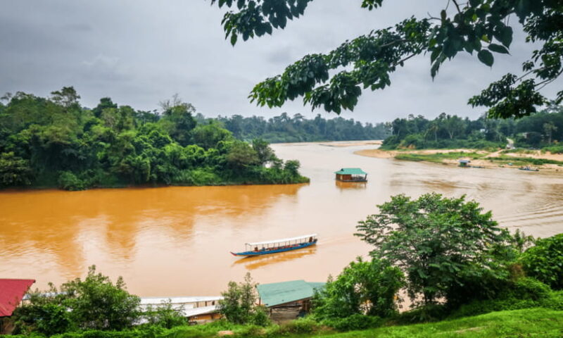 From Kuala Lumpur: Taman Negara National Park Private Tour - River Cruises and Waterfalls