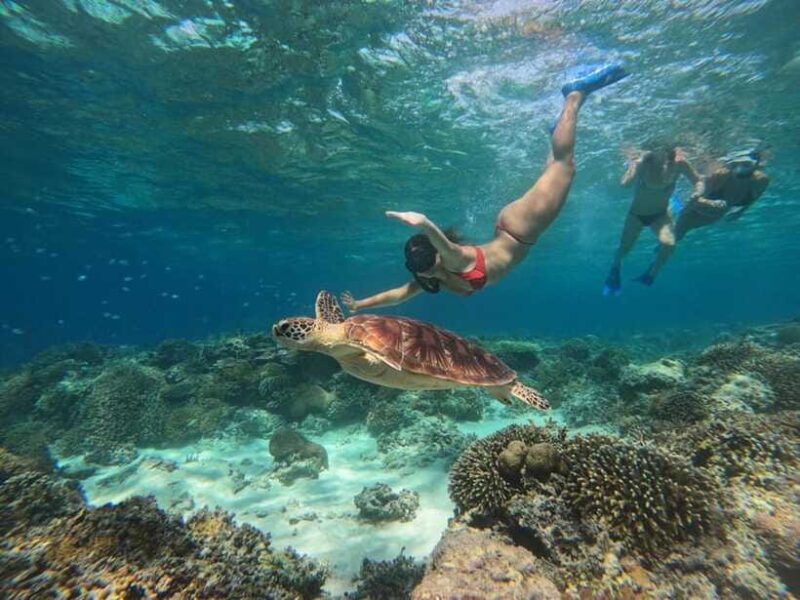 From Lombok: Private Snorkeling Trip include GOPRO shoot - Who Will Love This Experience?