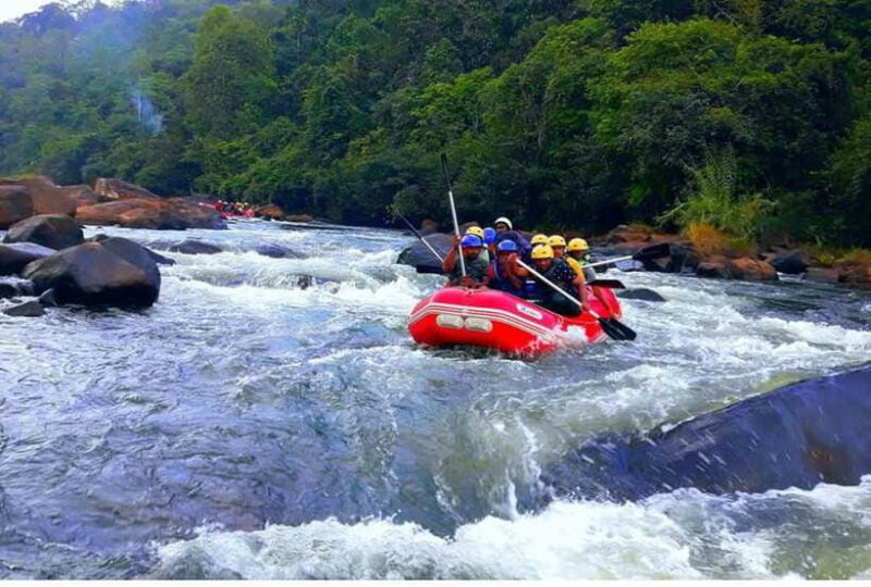 From Nuwara Eliya: White Water Rafting in Kithulgala-Private - Real-World Feedback