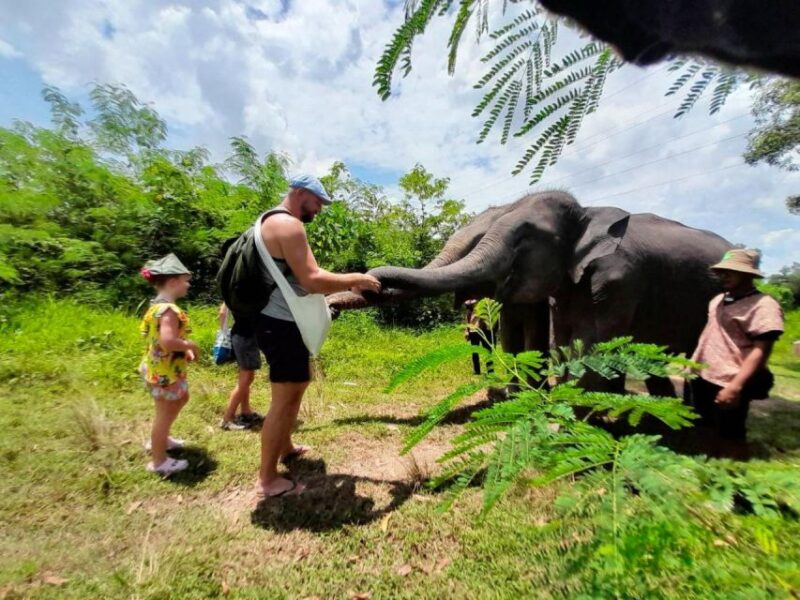 From Phuket: Ethical Elephant Interactive Trek and Tour - Who Will Love This Tour?
