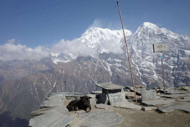 From Pokhara: Mardi Himal Trek with Accommodation and Guide - What’s Included and What’s Not