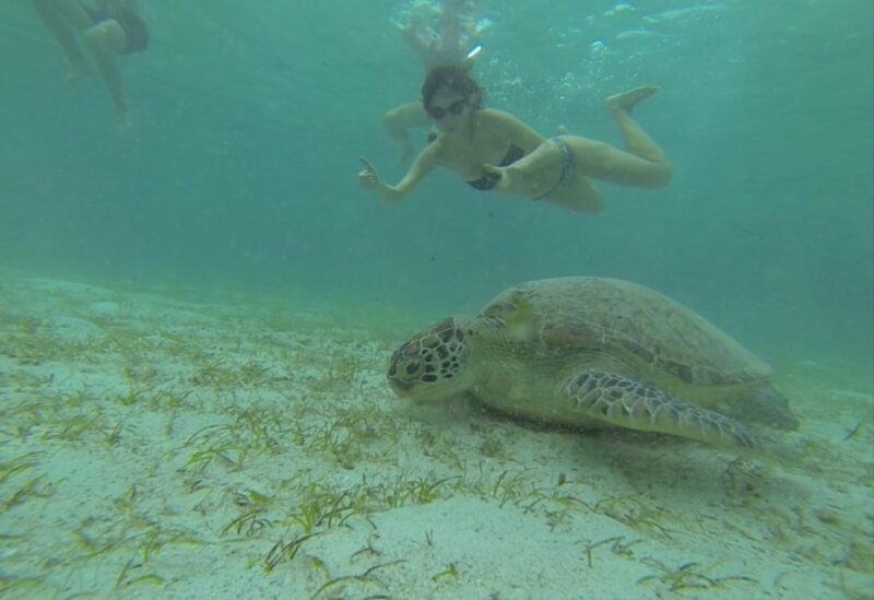 From Puerto Princesa: Port Barton & Island Hopping Day Trip - Final Thoughts: Who Is This Tour For?