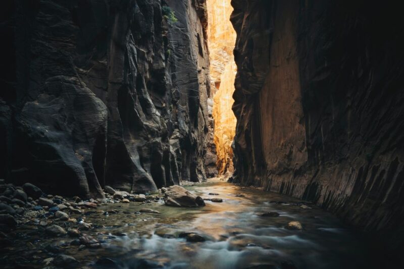 From Springdale: The Zion Narrows Hike with Lunch - The Value of This Tour