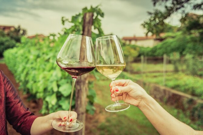 From the Vineyards to the Chalice: A Unique Tasting Experience - The Reviews Speak Volumes