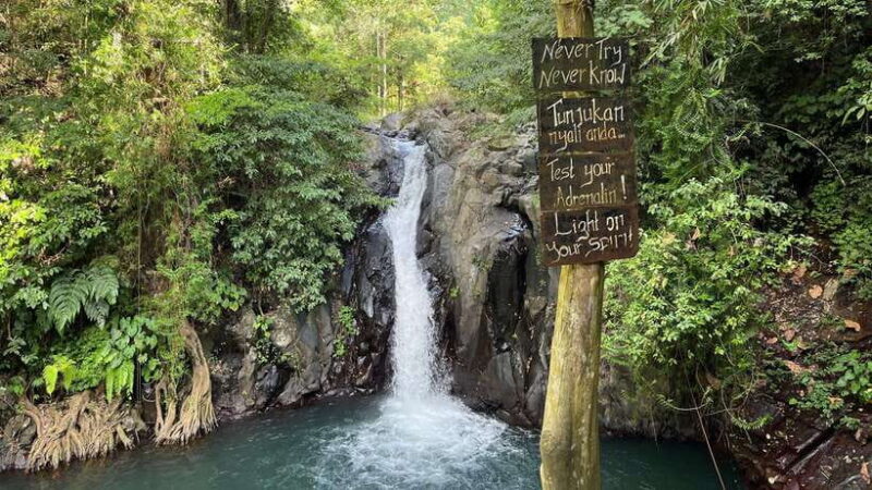 From Ubud: visit the best waterfalls arround - Who Should Book This Tour?