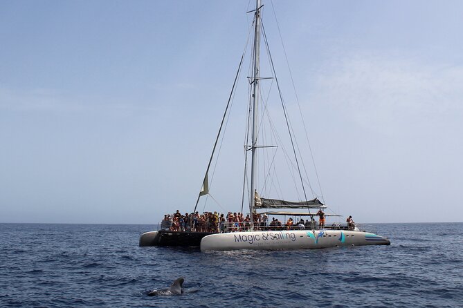 Fuerteventura: Magic Select Catamaran Trip with Food & Drinks - FAQs