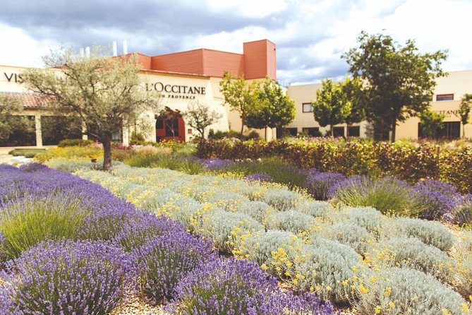 Full Day Ocean of Lavender in Valensole from Avignon - The Sum Up: Who Is This Tour Best For?