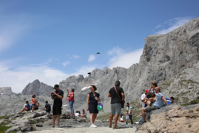 Full Day Private 4WD Tour from Bilbao to Picos de Europa. Fine meals. - Price and Value Considerations
