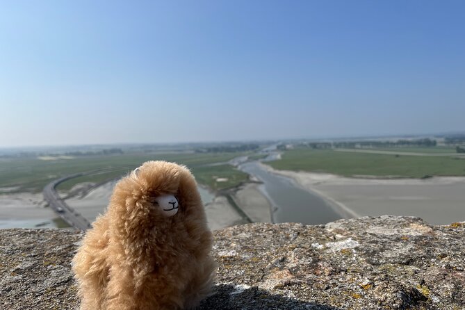 Full-day Private Tour in Mont Saint Michel with Calvados Tasting - Who Should Consider This Tour?