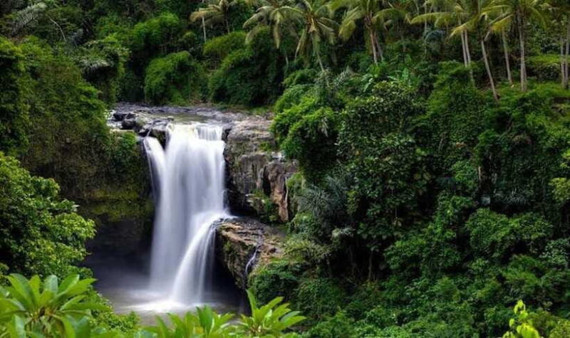 Full-Day Ubud Tours All Inclusive - The Sum Up: Who Is This Tour Best For?
