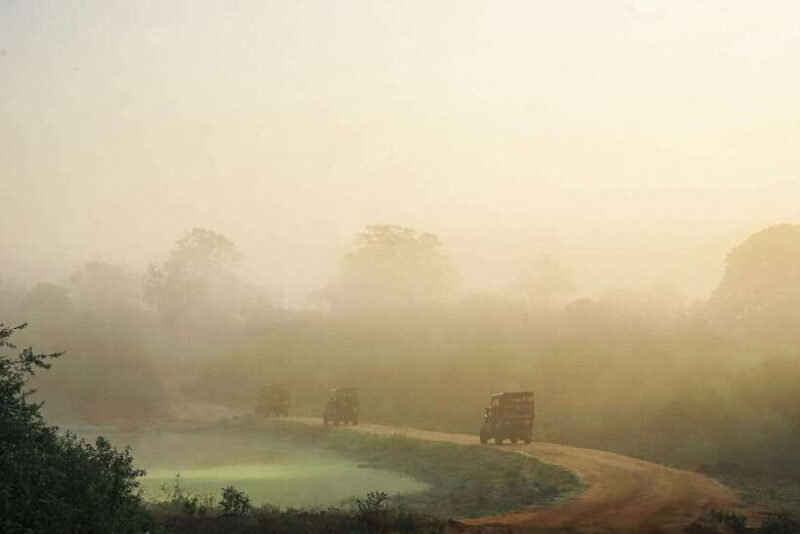 Fully-Loaded Sri Lanka | FREE trip to Sigiriya and Dambulla - What to Expect Each Day