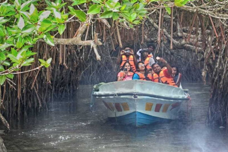 Galle Sea Turtles visit & Day Tour From: Hambantota Port - Practical Details That Matter