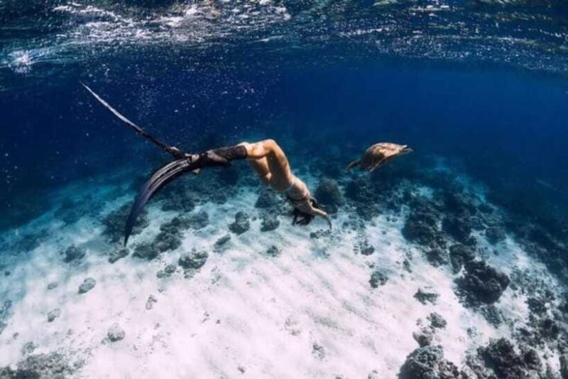Gili Trawangan: Private Snorkeling 4 Spot with Gopro Camera - Final Thoughts