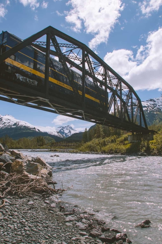 Girdwood: Bears, Trains, & Icebergs Tour - Final Thoughts