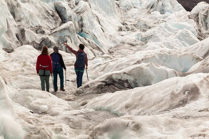 Glacier Hike from Skaftafell - Extra Small Group - Who Will Love This Tour?