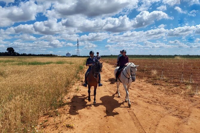 Granada & Sierra Nevada Horse Riding Tour - The Sum Up