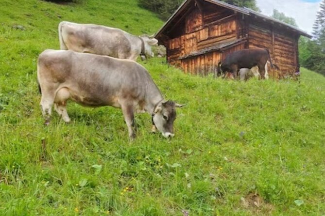 Grindelwald, Lauterbrunnen and Swiss Alps region - The Sum Up