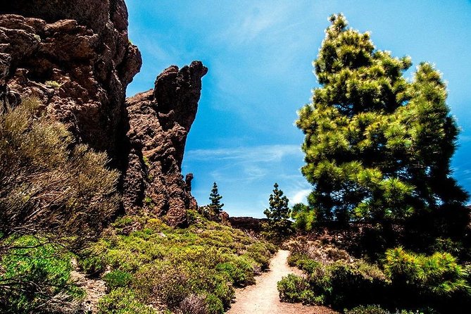 Guided Hike - The Tajinaste Trail - FAQ