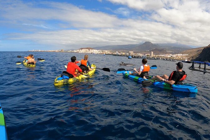 Guided Kayak Tour From Los Cristianos Beach Tenerife - Review Highlights and Authentic Perspectives