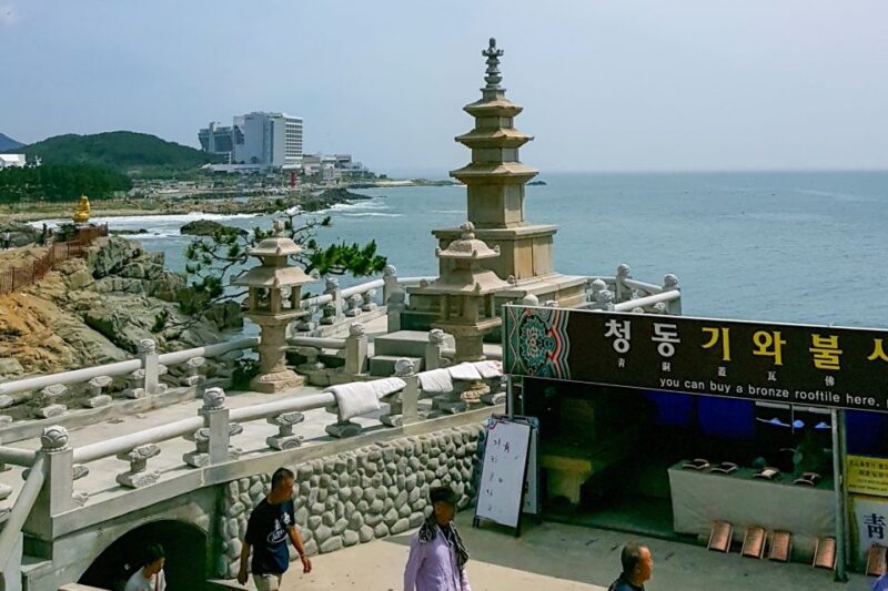 Haedong Yonggungsa Temple, Camellias Island & More - Who Will Love This Tour?
