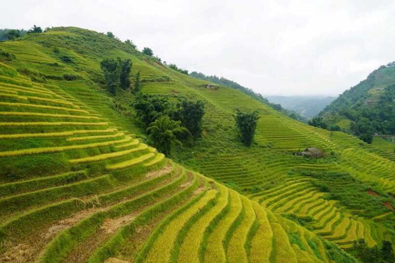 Half Day Sapa Trekking to Visit Lao Chai - Ta Van - Who Will Love This Tour?