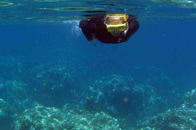 Half Day Snorkelling Experience with a dive boat in Kos Greece - The Sum Up